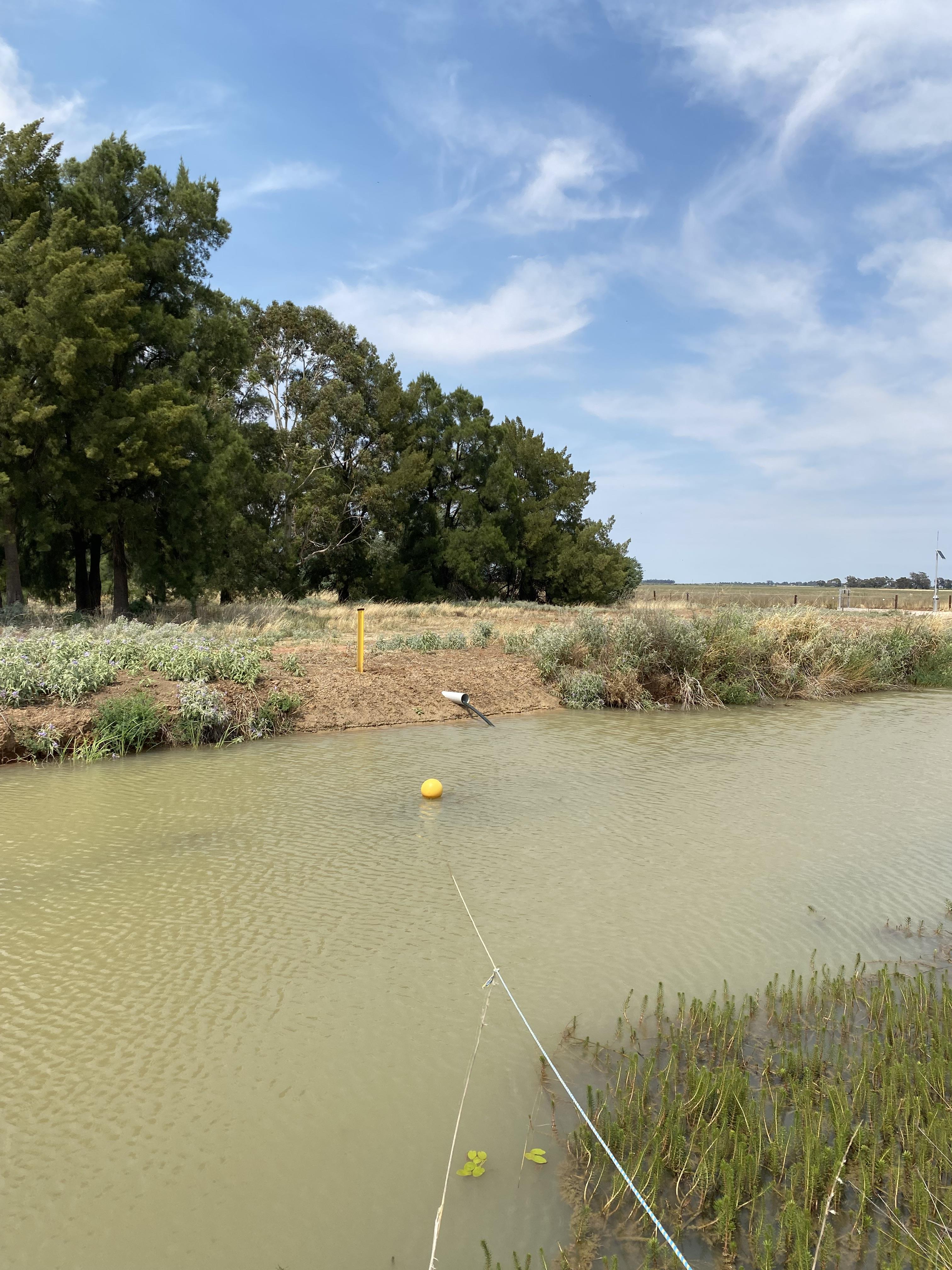 Residential Connection: Jess Hoskins | Murrumbidgee Irrigation