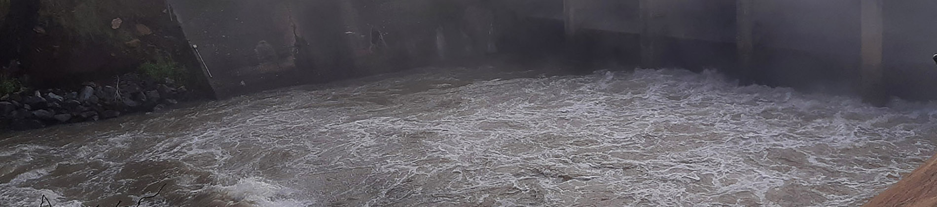 Surplus Water Event | Murrumbidgee Irrigation